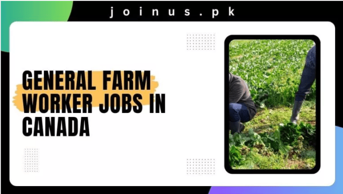 General Farm Worker Job In Canada - WORLDWIDE SCHOLARHSIPS